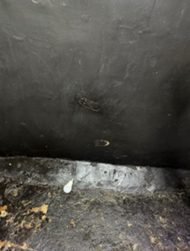 RA Taurus TS2 – Water storage tanks and Cistern – Dominican Republic ...
